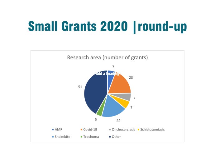 RSTMH Early Career Grants Programme – Guidance 2024 | RSTMH