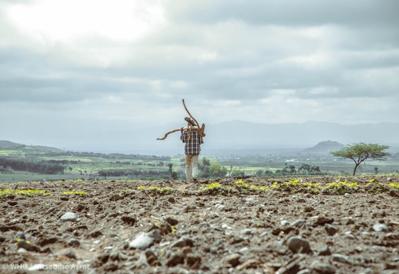 RSTMH | Royal Society of Tropical Medicine and Hygiene
