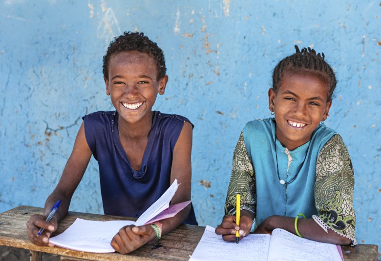 RSTMH Early Career Grants Programme – Guidance 2024 | RSTMH