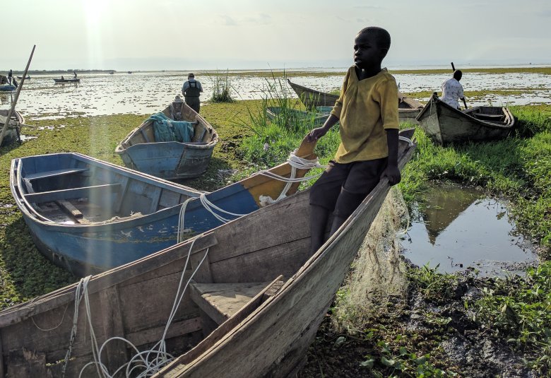 2025 Early Career Grants Applications | RSTMH